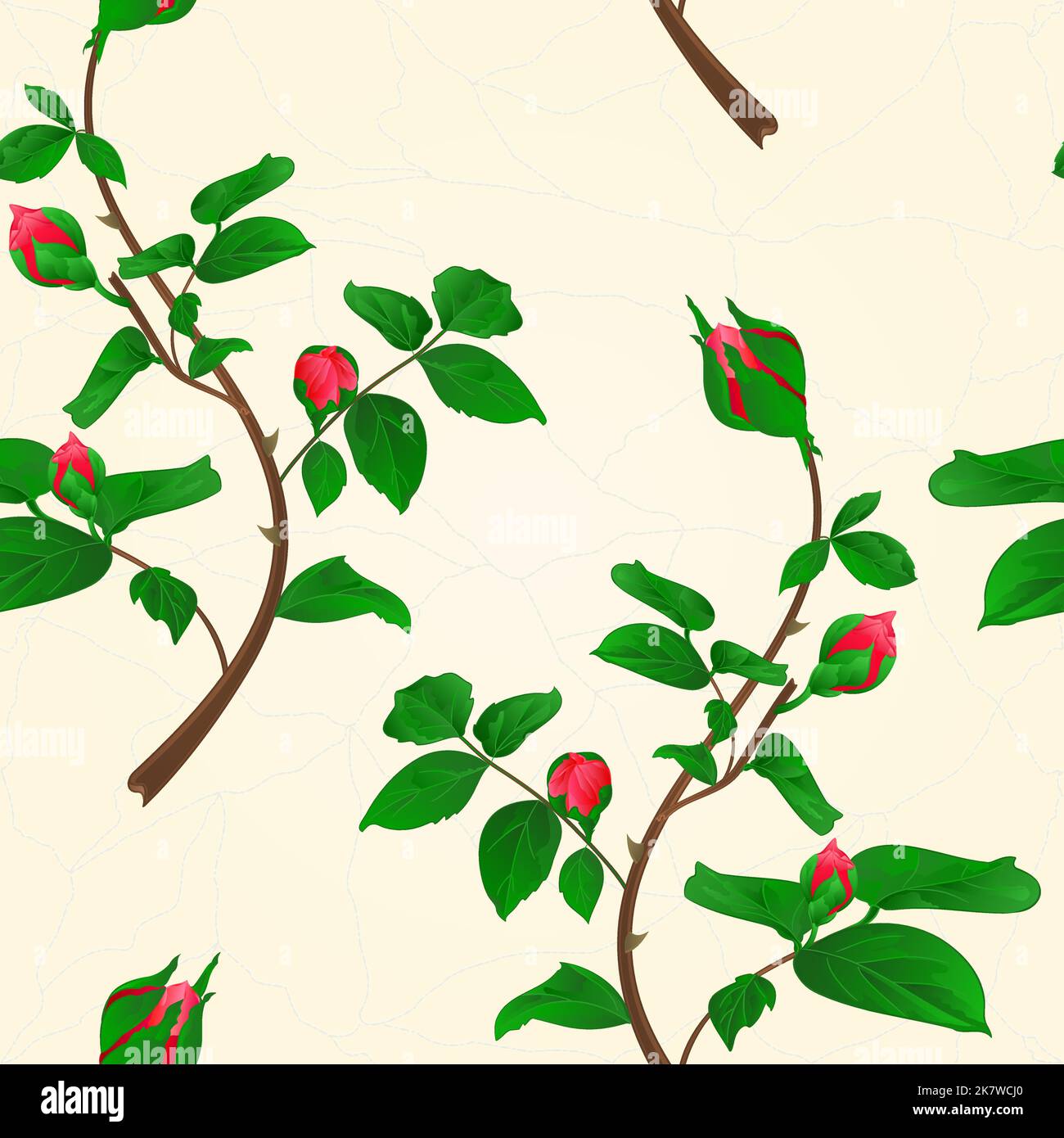 Climbing red rose hi-res stock photography and images - Alamy