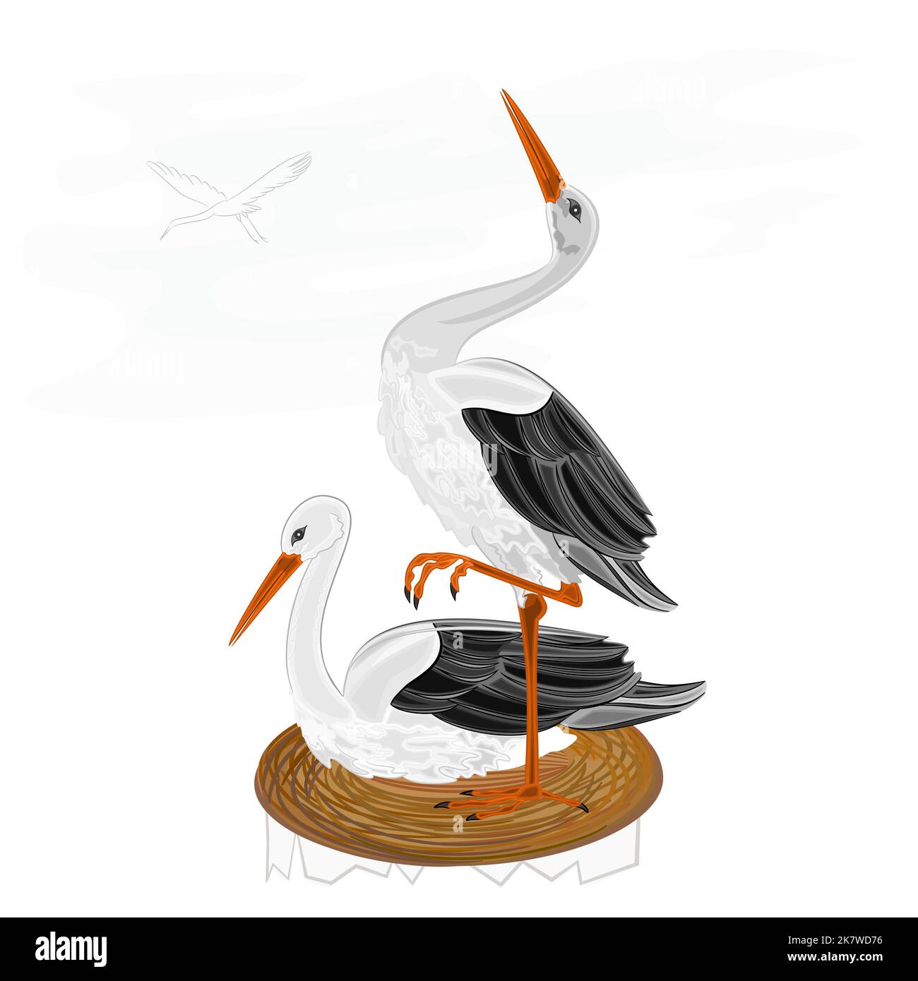Storks on nest Stock Vector Images - Alamy