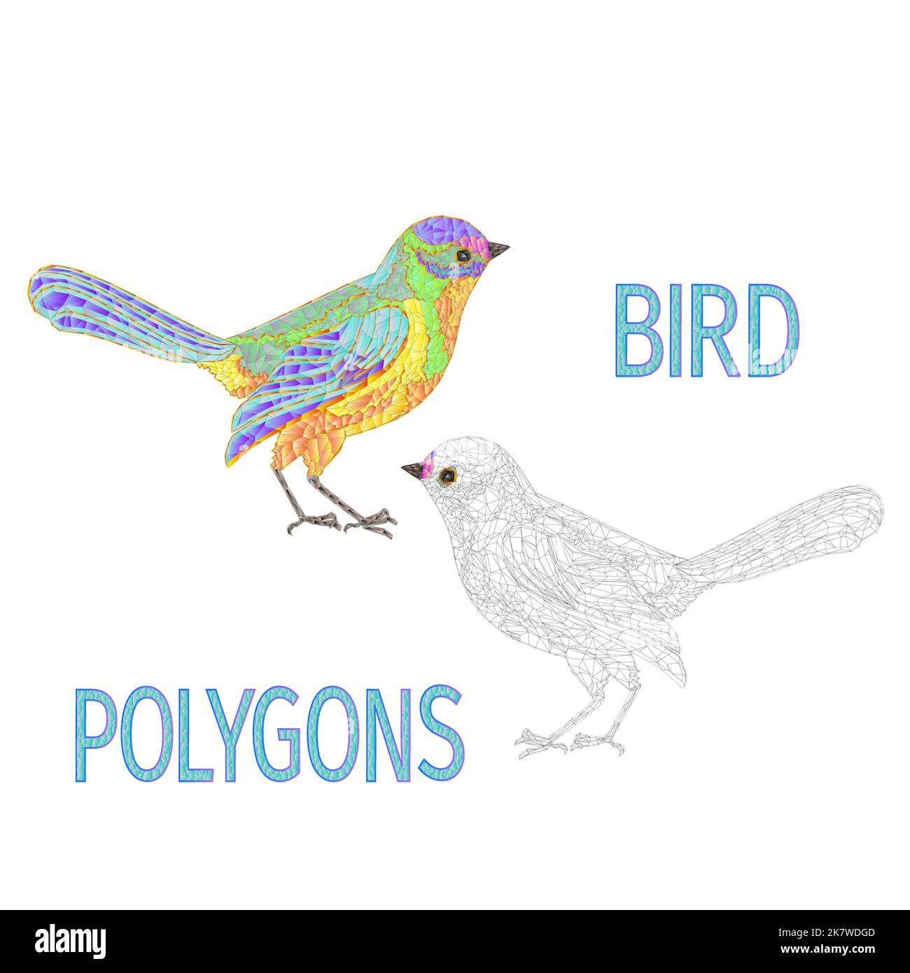Bird rainbow polygons coloured and outline vector illustration Stock ...