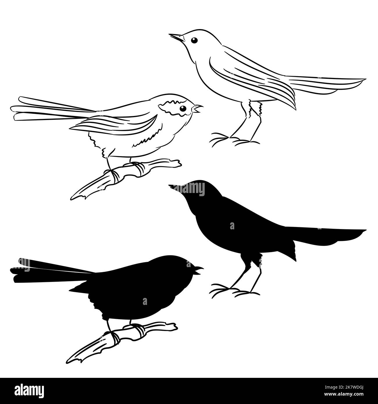 The outline and of the silhouette of the birds set The two vecto Stock ...