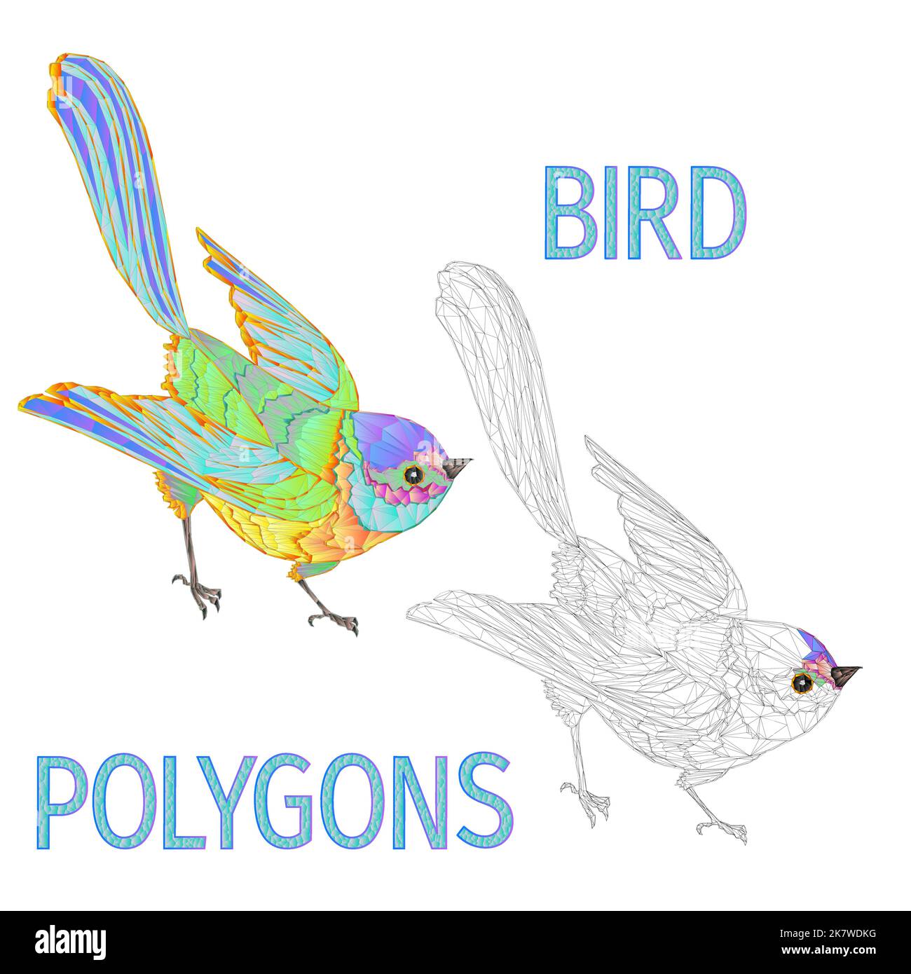 Rainbow Bird Polygons Coloured And Outline Vector Illustration Stock Vector Image And Art Alamy