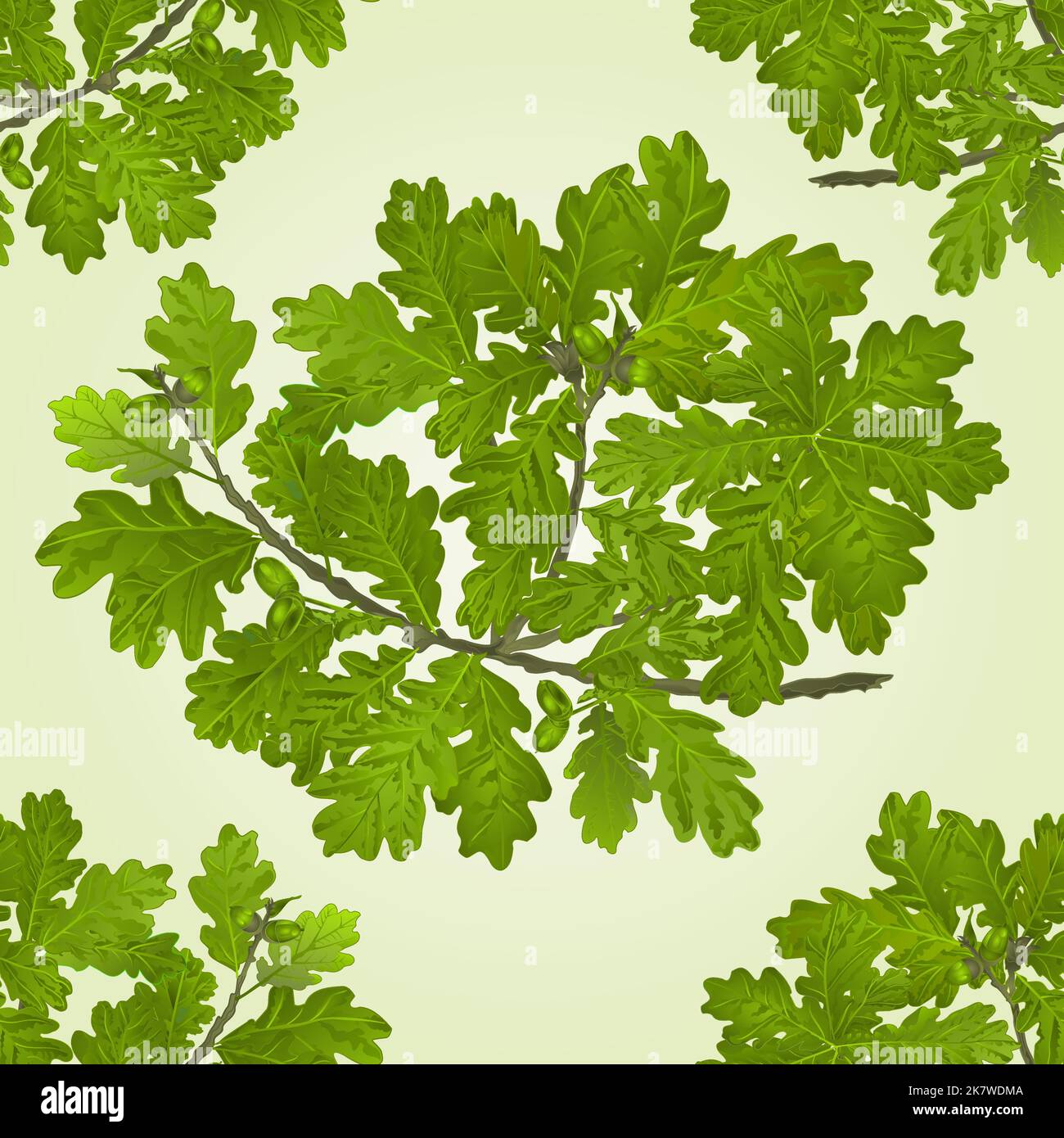 Seamless texture Branch of oak with acorns natural summer background ...