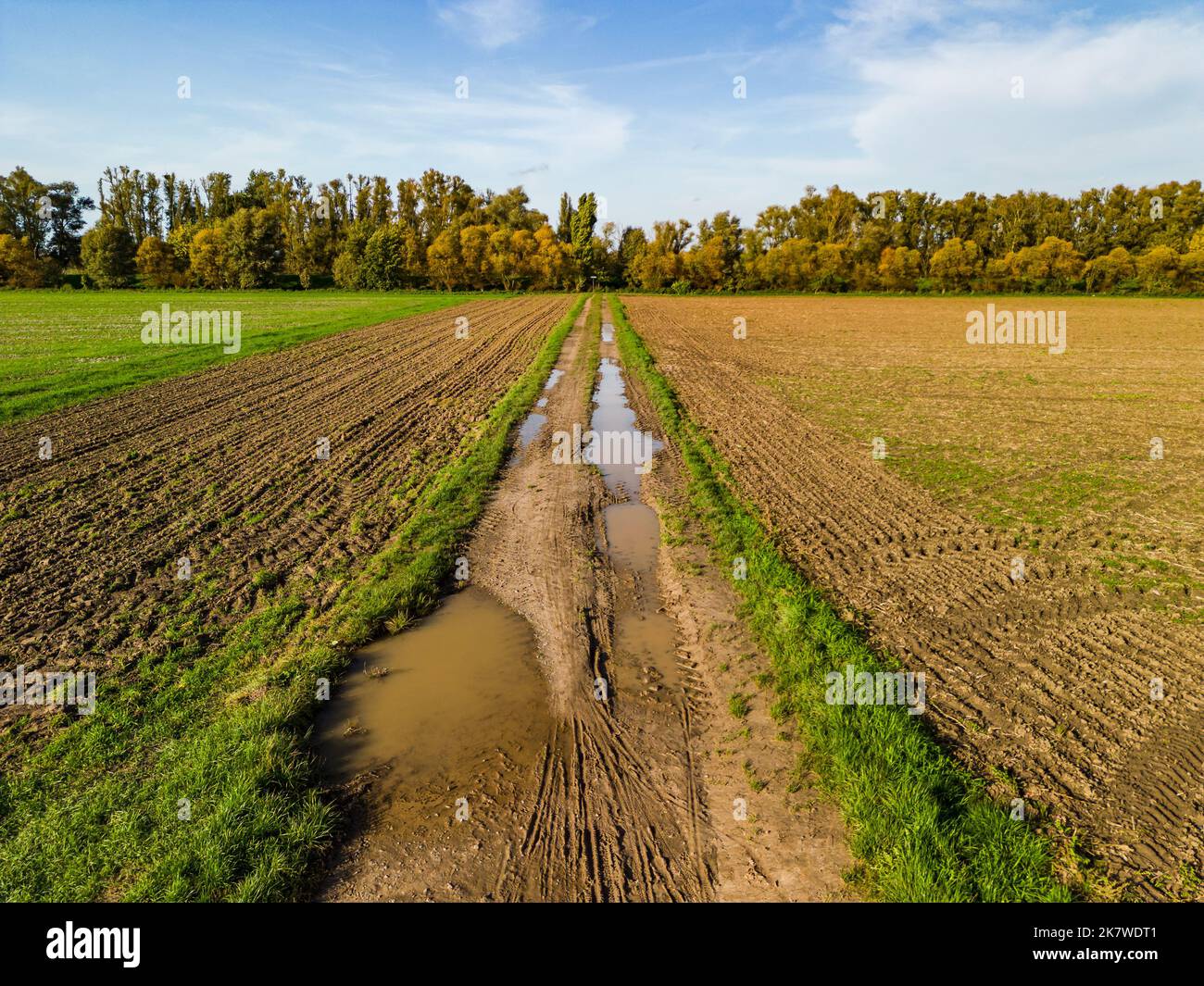 Rural landscape with a muddy dirt road with puddles of water in the sun ...