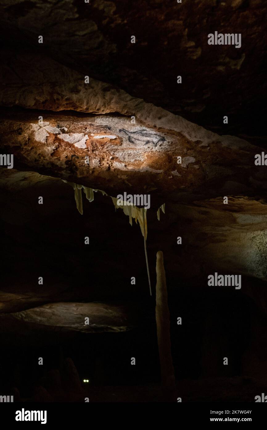 Marseille, France. 17th Oct, 2022. The prehistoric painting of a ...