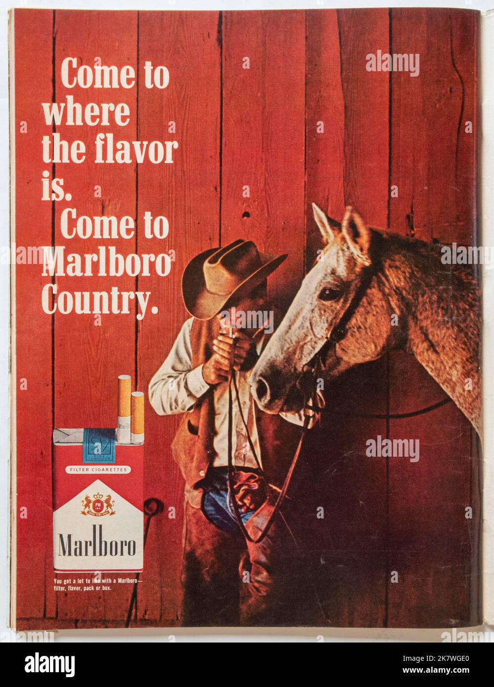 Horse life magazine hi-res stock photography and images - Alamy