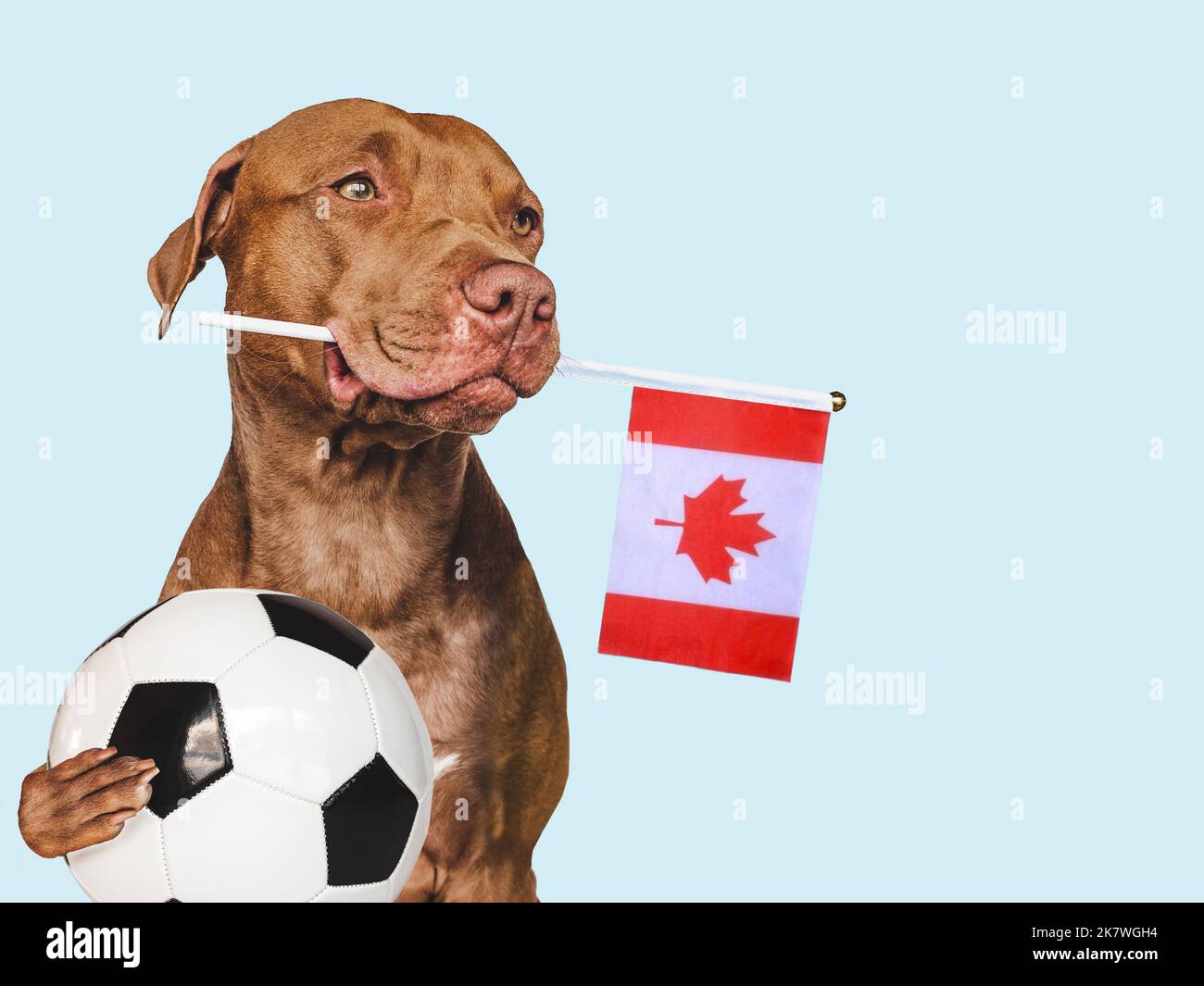 Soccer ball canada flag isolated hi-res stock photography and images ...