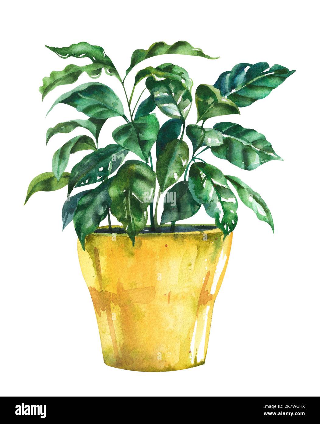 Yellow house tree in Cut Out Stock Images & Pictures - Alamy