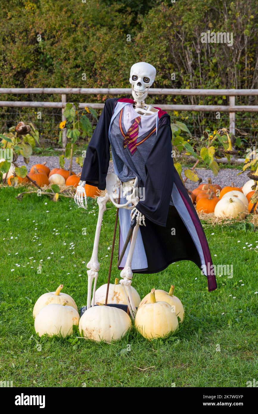 Harry Potter skeleton at Pumpkin Time at Sunnyfields Farm in Totton ...