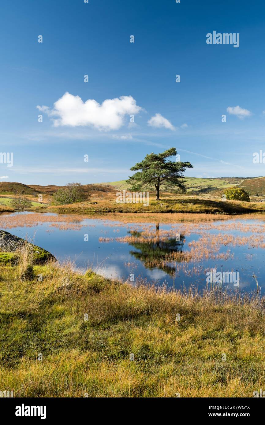 English lakes in the fall hi-res stock photography and images - Alamy