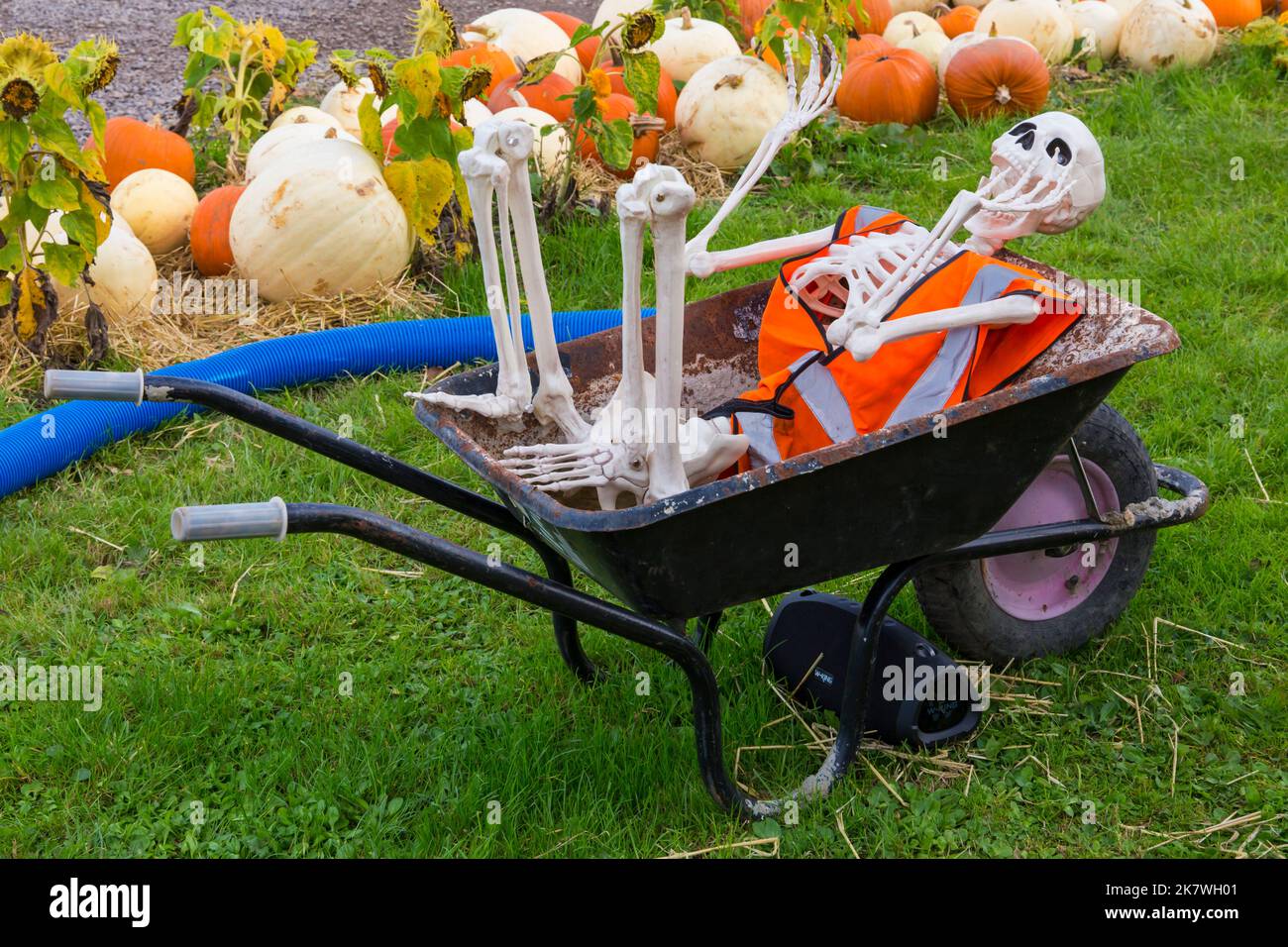 Skeleton in wheelbarrow hi-res stock photography and images - Alamy