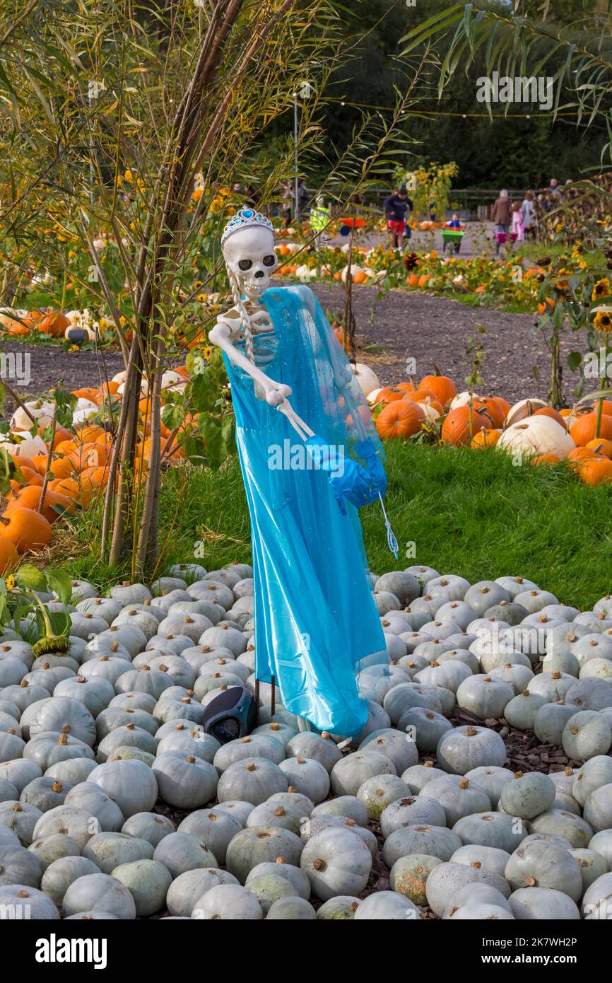 Princess elsa hi-res stock photography and images - Alamy