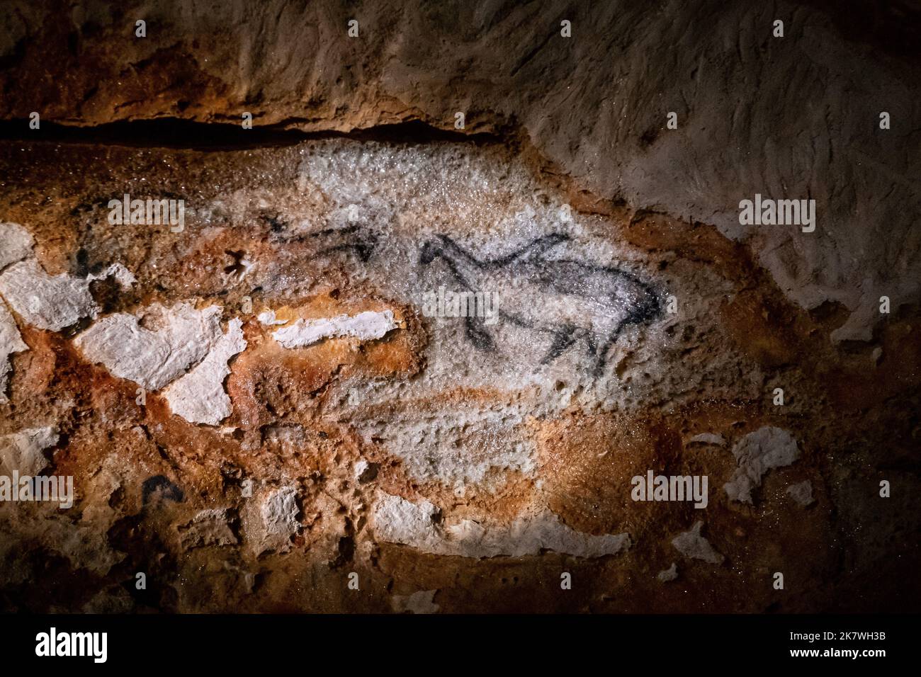 Marseille, France. 17th Oct, 2022. The prehistoric painting of a ...