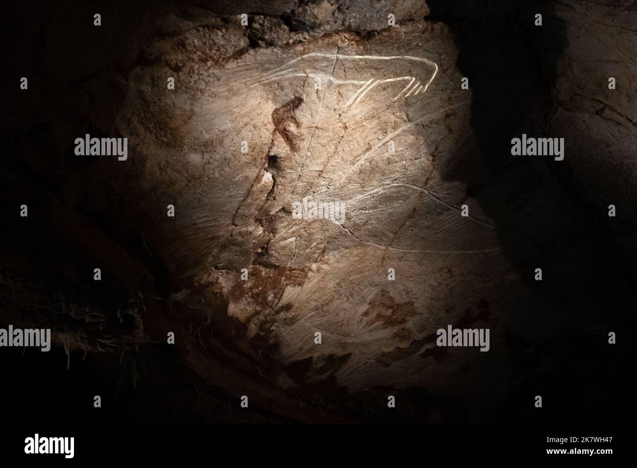 Marseille, France. 17th Oct, 2022. The rock carving of a seal is seen ...