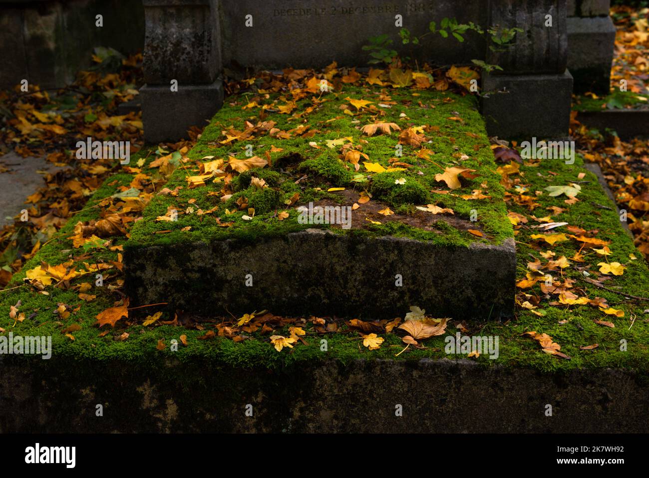 Forgotten moss overgrown grave covered with autumn leaves at old ...