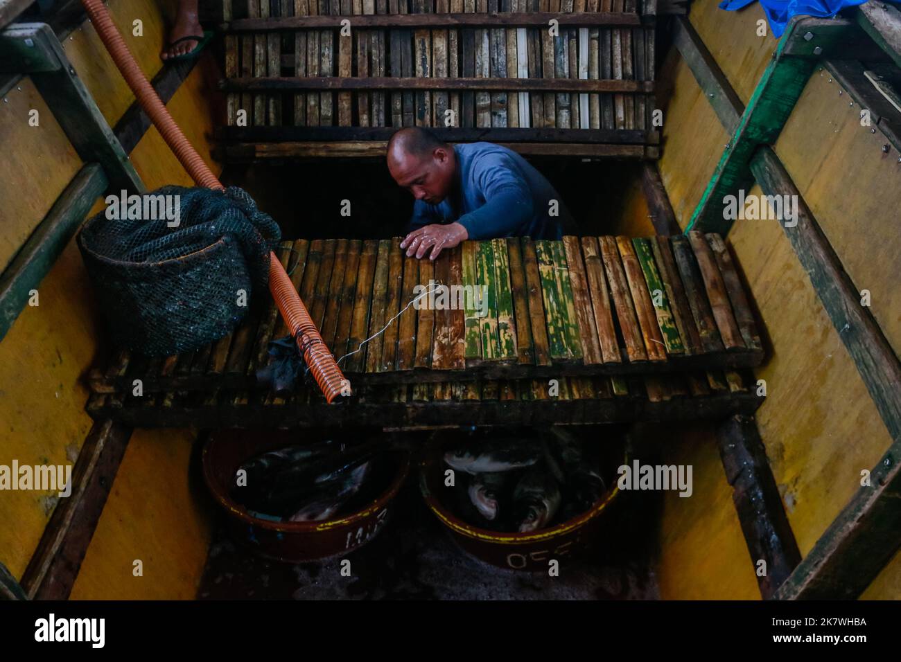 Binangonan, Philippines. 19th Oct, 2022. Fishermen unloads 2.5 tons of ...