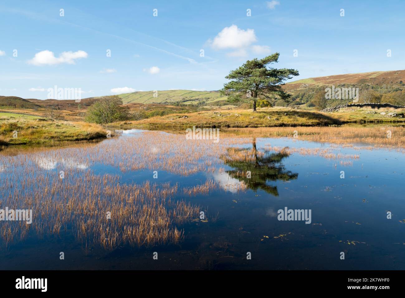 Kelly pool hi-res stock photography and images - Alamy