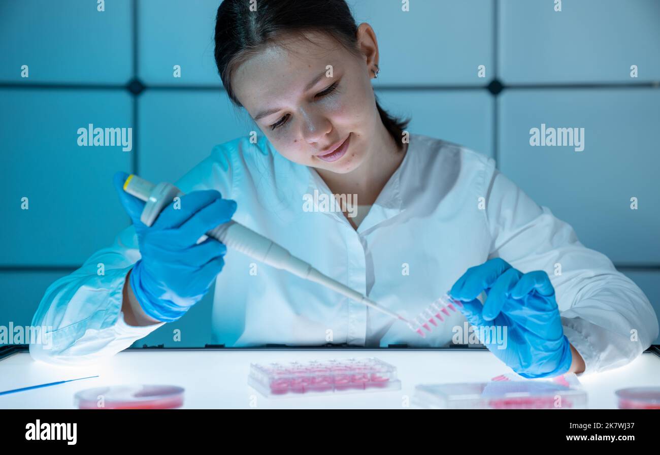 young female student loads biological samples into a microtube strips for PCR analysis Stock ...