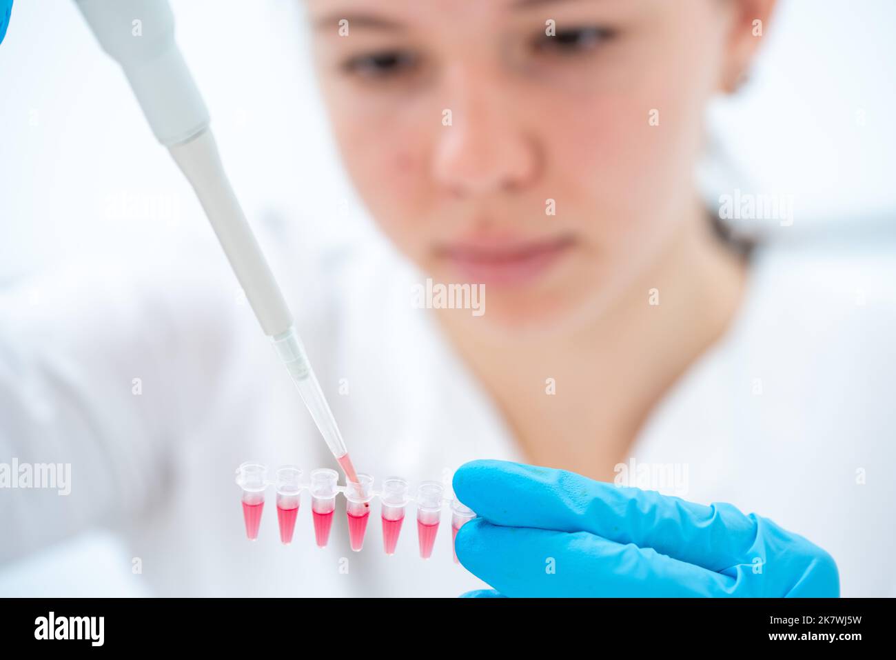 young female student loads biological samples into a microtube strips ...