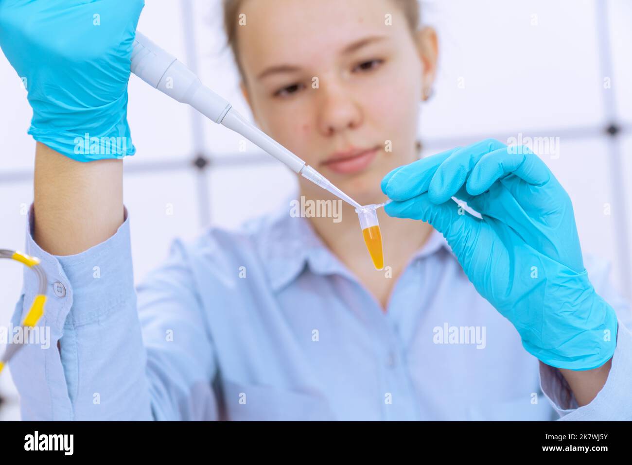 young woman laboratory assistant loads biological sample into microtube ...
