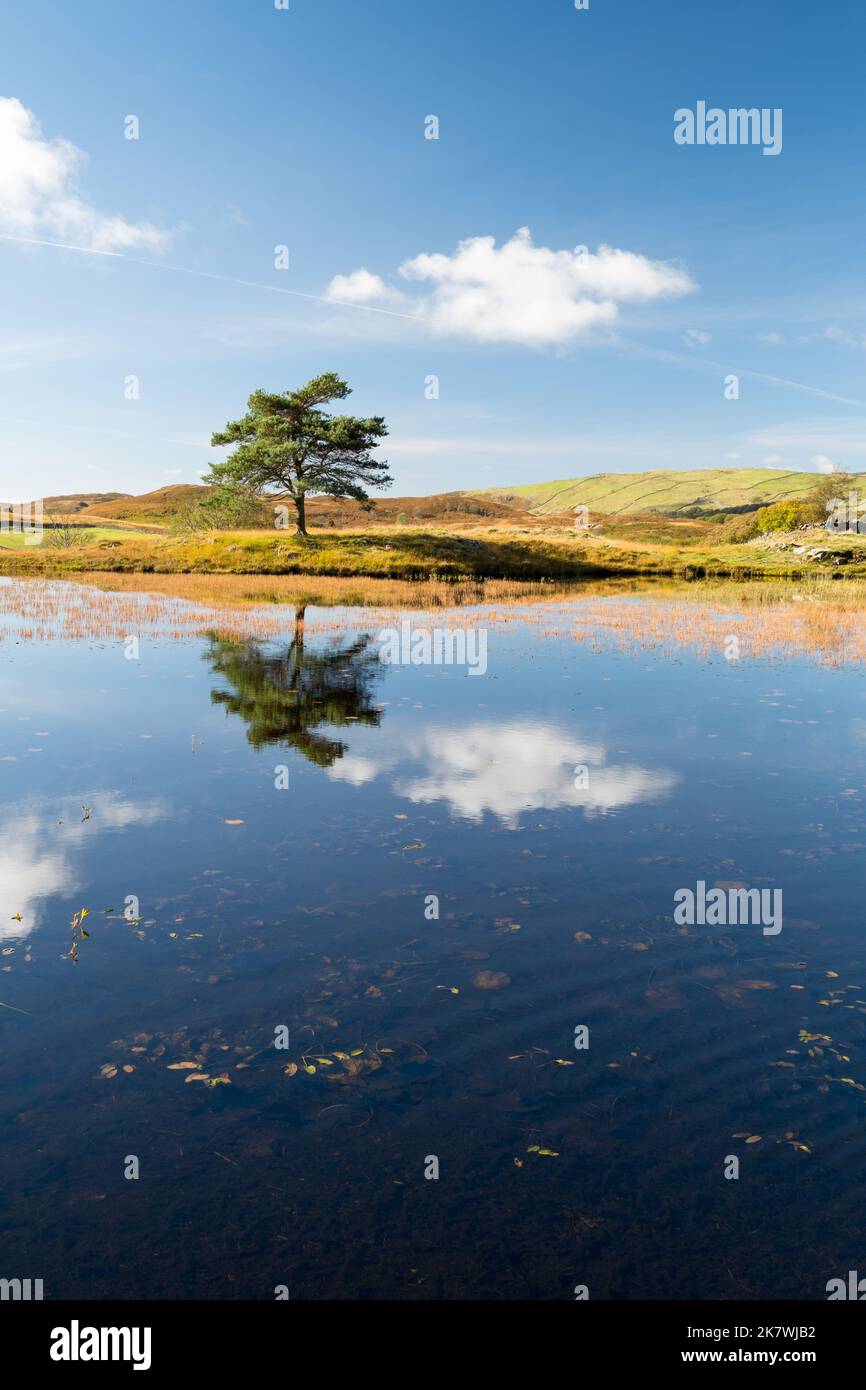Kelly pool hi-res stock photography and images - Alamy