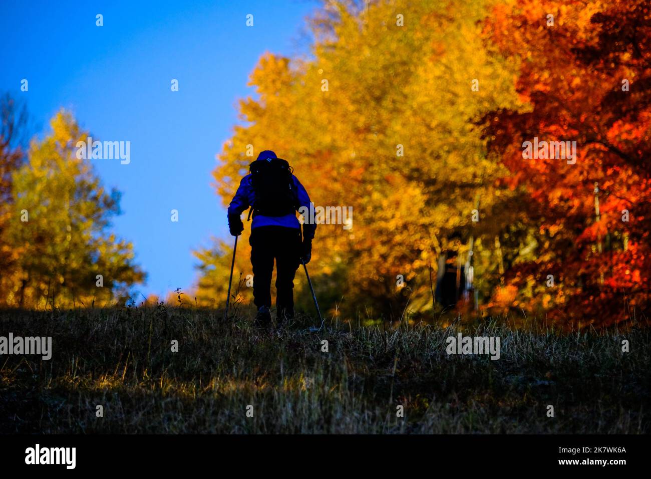 Hiker climbs Mt. Mansfield, Stowe, VT, New England, USA, the highest ...