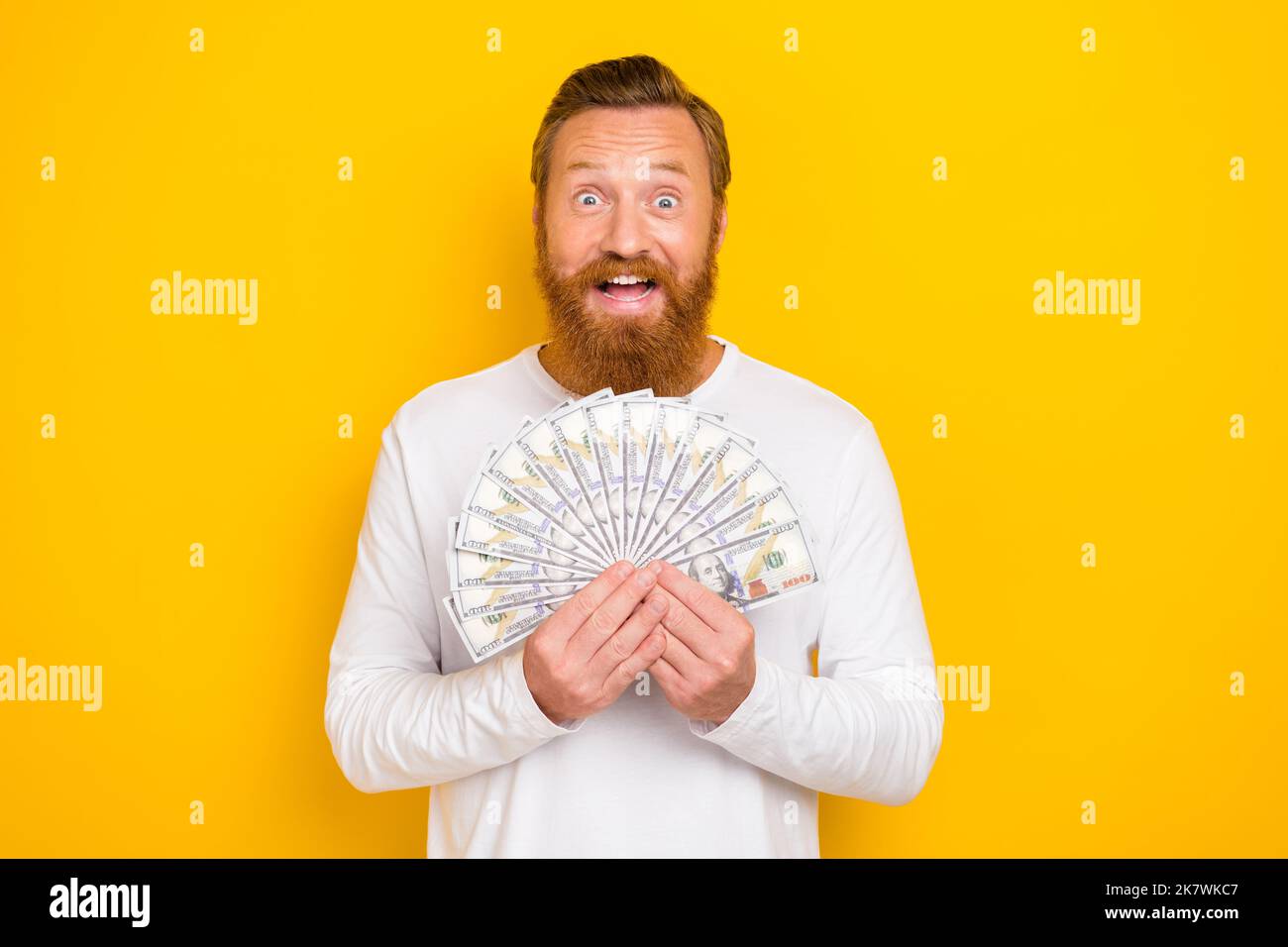 Photo of astonished crazy person hands hold dollar banknotes bills ...