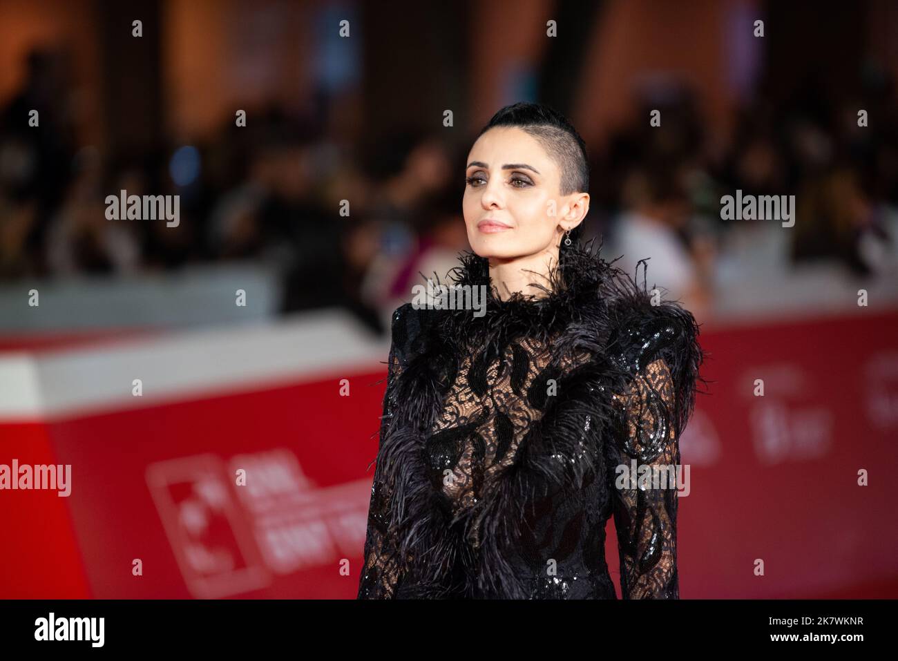 Red carpet of L'ombra di Caravaggio at 17th Rome Film Fest Stock Photo ...