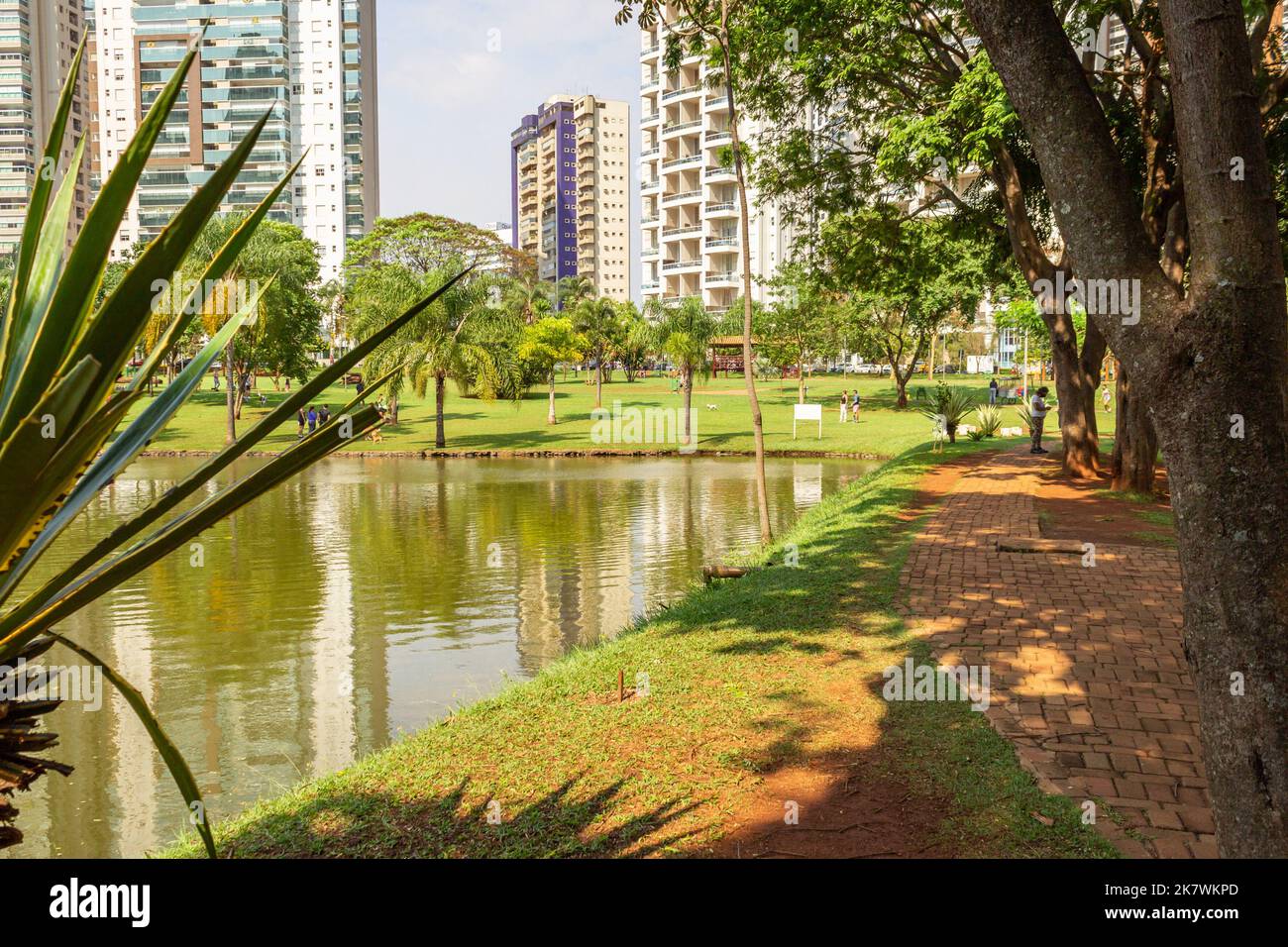 Goiânia, Goias, Brazil – October 18, 2022: An angle of Flamboyant Park ...