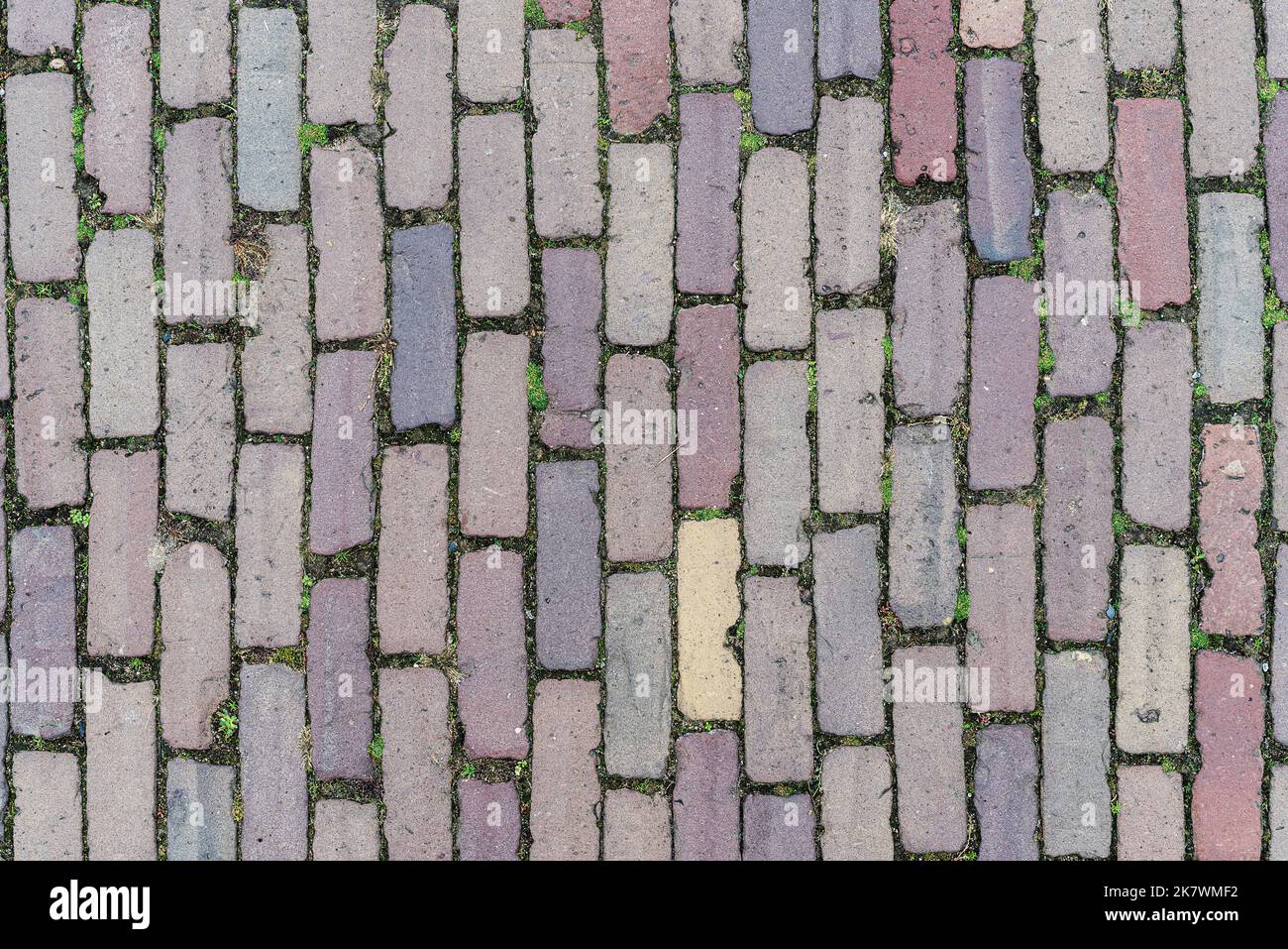 Brick Street Texture