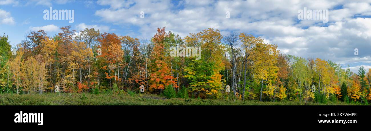 The forest's edge shows off autumn colors in Ellison Bay, Door County ...