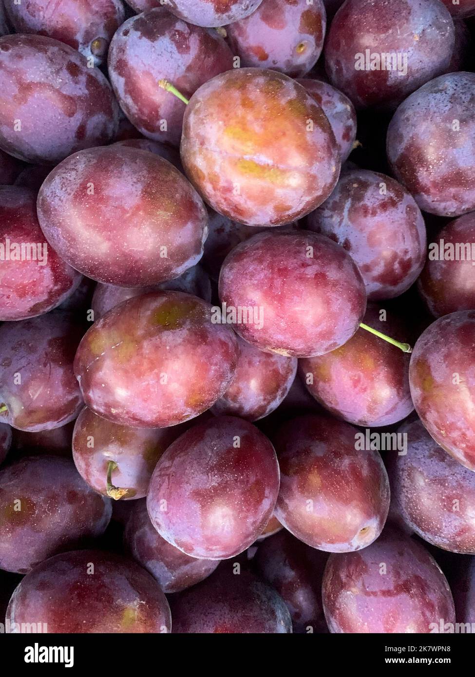 Fruit background,texture of garden plums. Studio Photo Stock Photo - Alamy