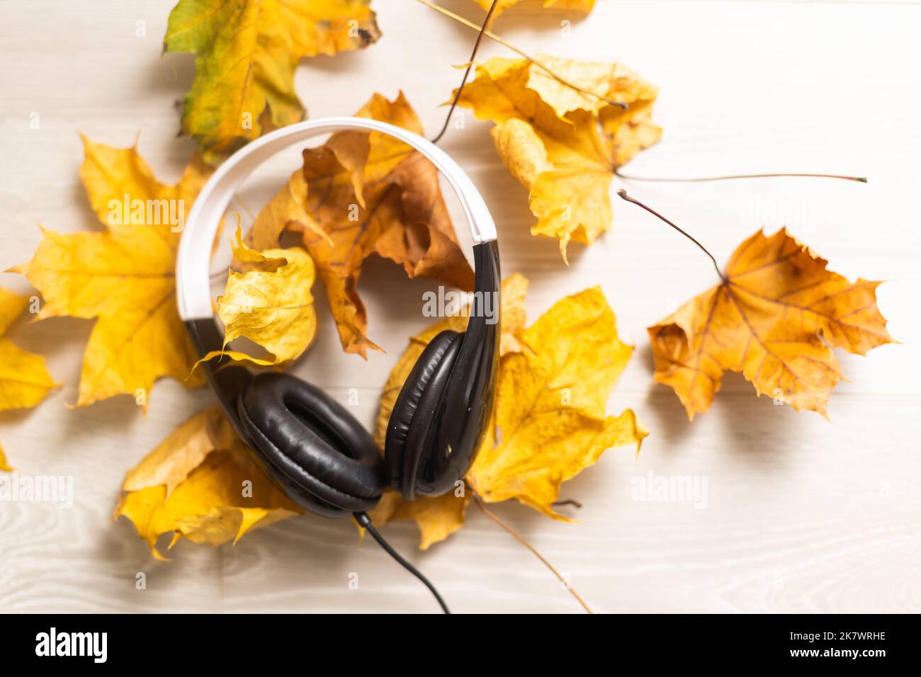 Fall flat lay composition with autumn leaves, white headphones. Autumn ...