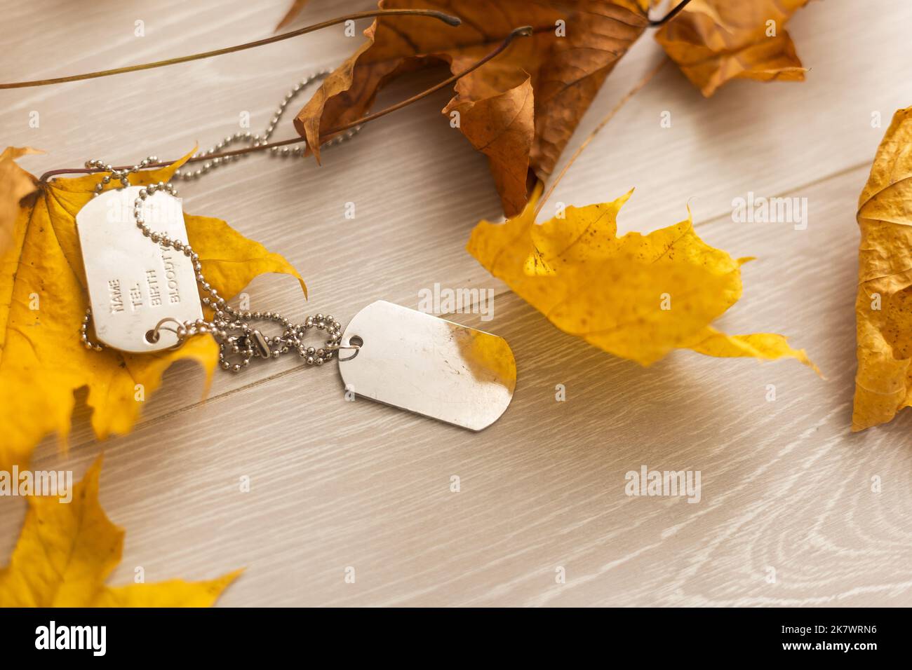dry autumn leaves and a military tag Stock Photo - Alamy