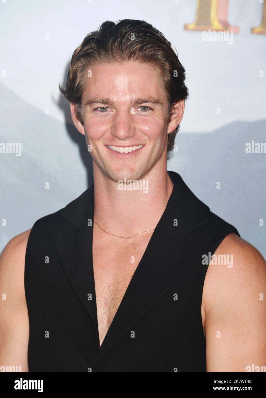 LOS ANGELES, CA - OCTOBER 18: Nico Greetham attends the premiere of ...