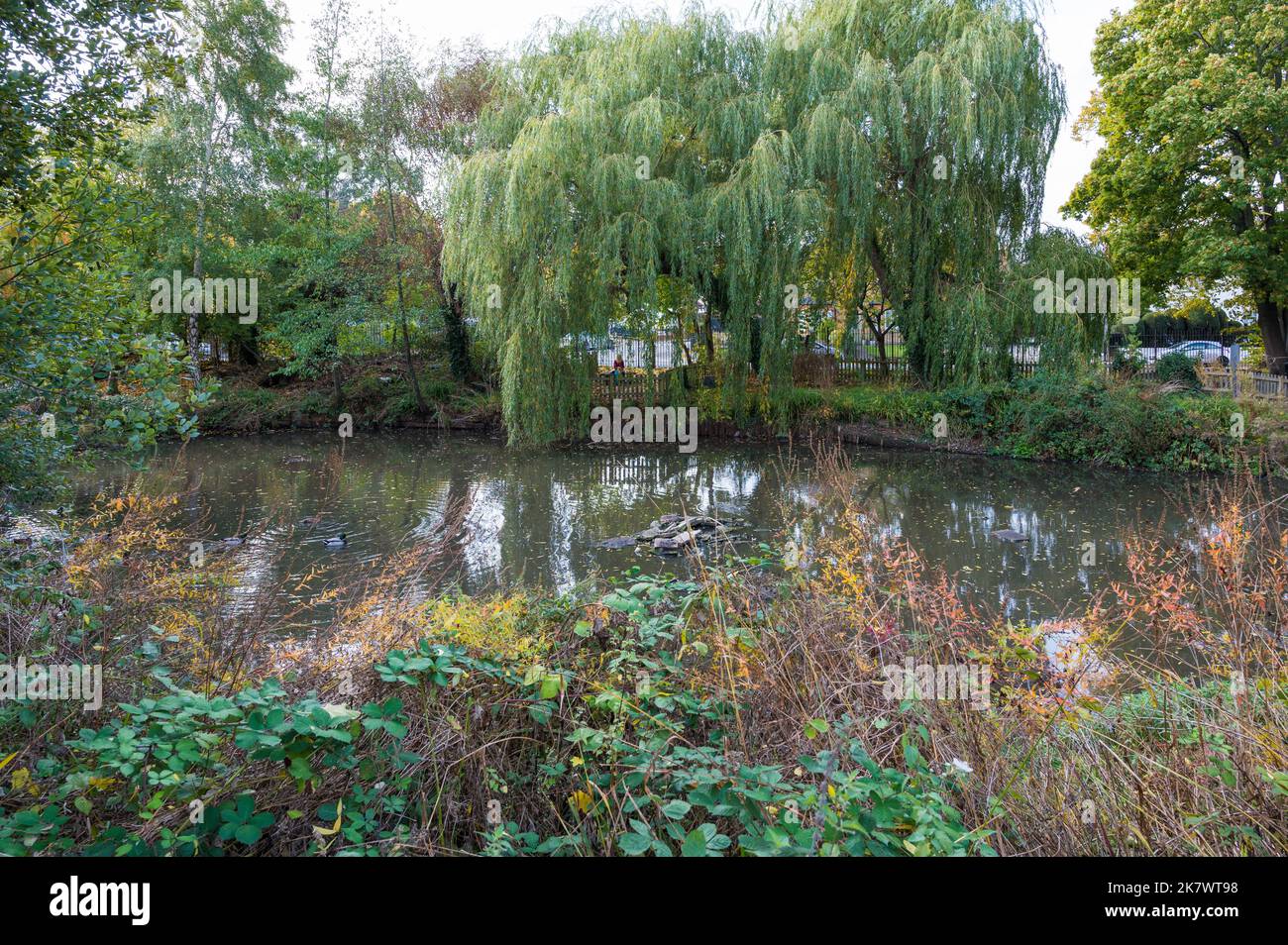 Horse Pond, known as Horse Pool in the reign of Elizabeth l, where ...