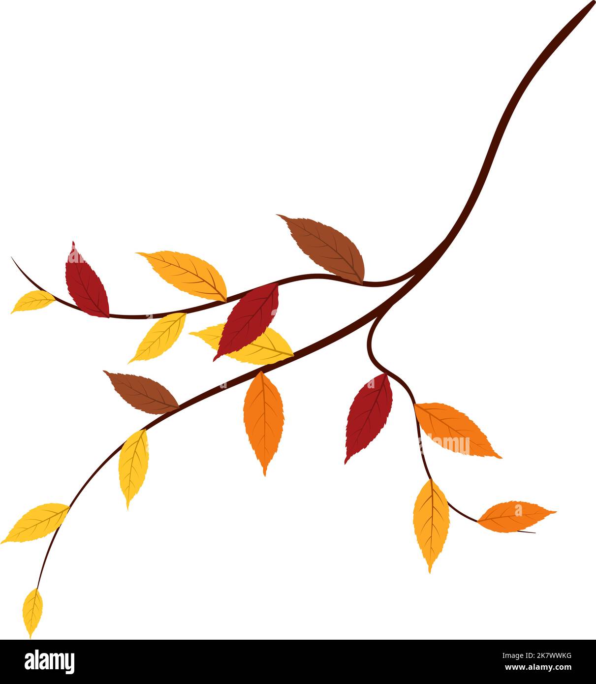 Autumn ash-tree leaves branch. Vector illustration Stock Vector Image ...