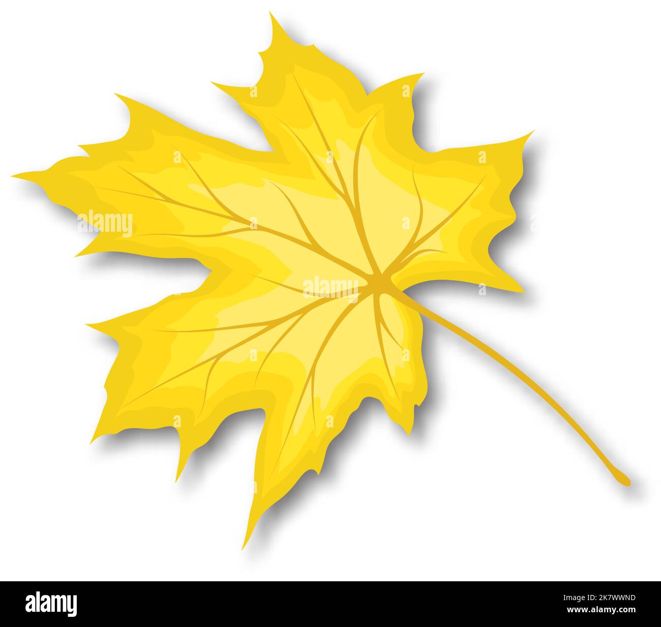 Autumn maple leaf. Fall leaf with shadow. Vector illustration Stock ...