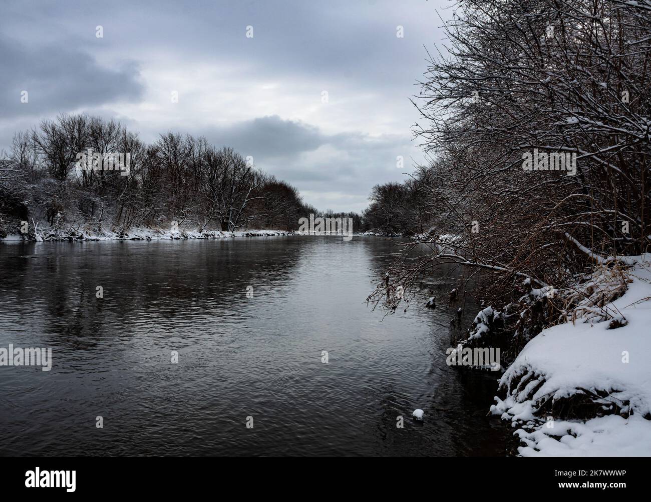 The DuPage River flows a forest covered with fresh snow, Will County ...