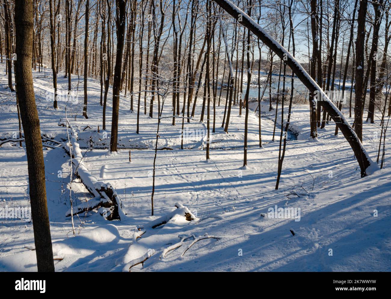 A small creek flows through winter woods before joining the DuPage ...