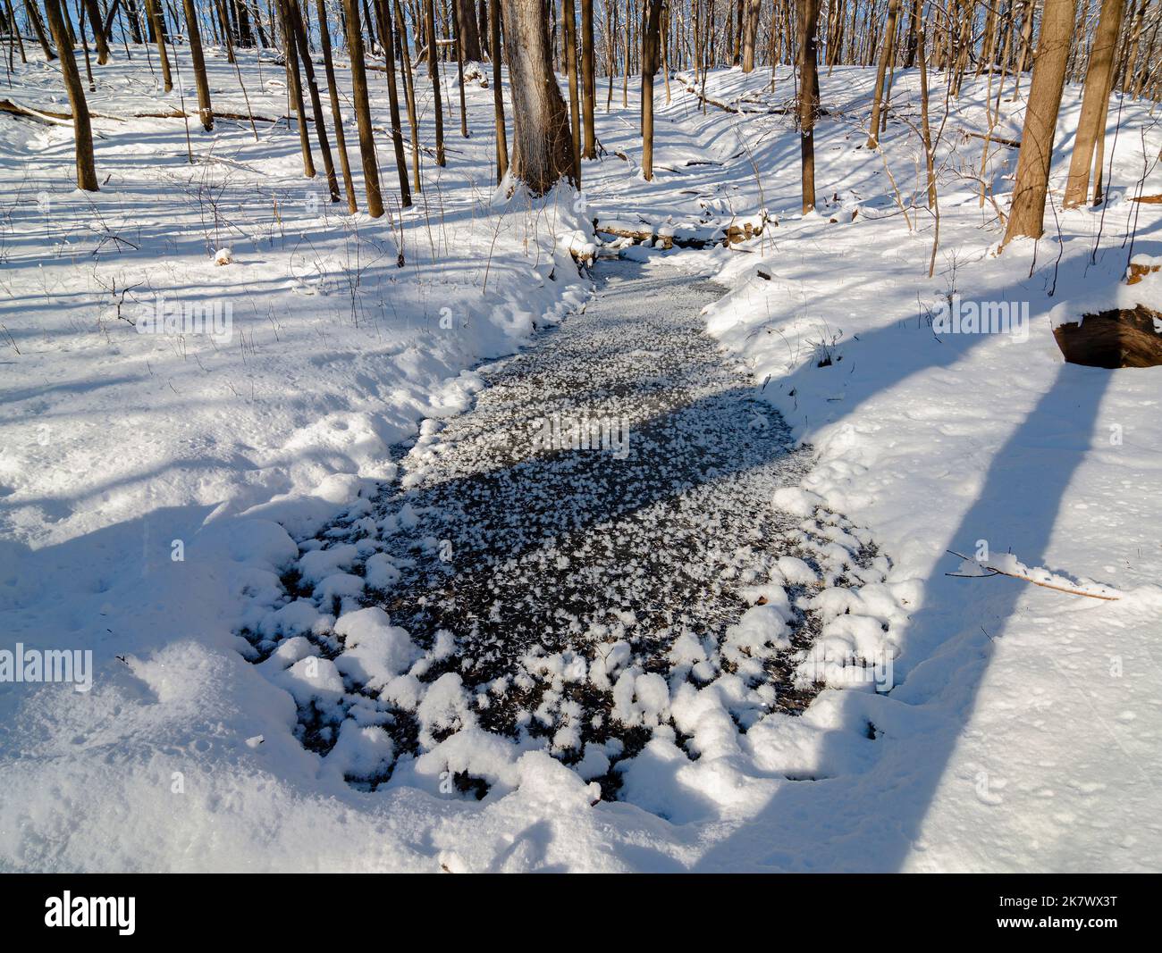 Ice crystals and snow forms on new ice on a small creek in Hammel Woods ...
