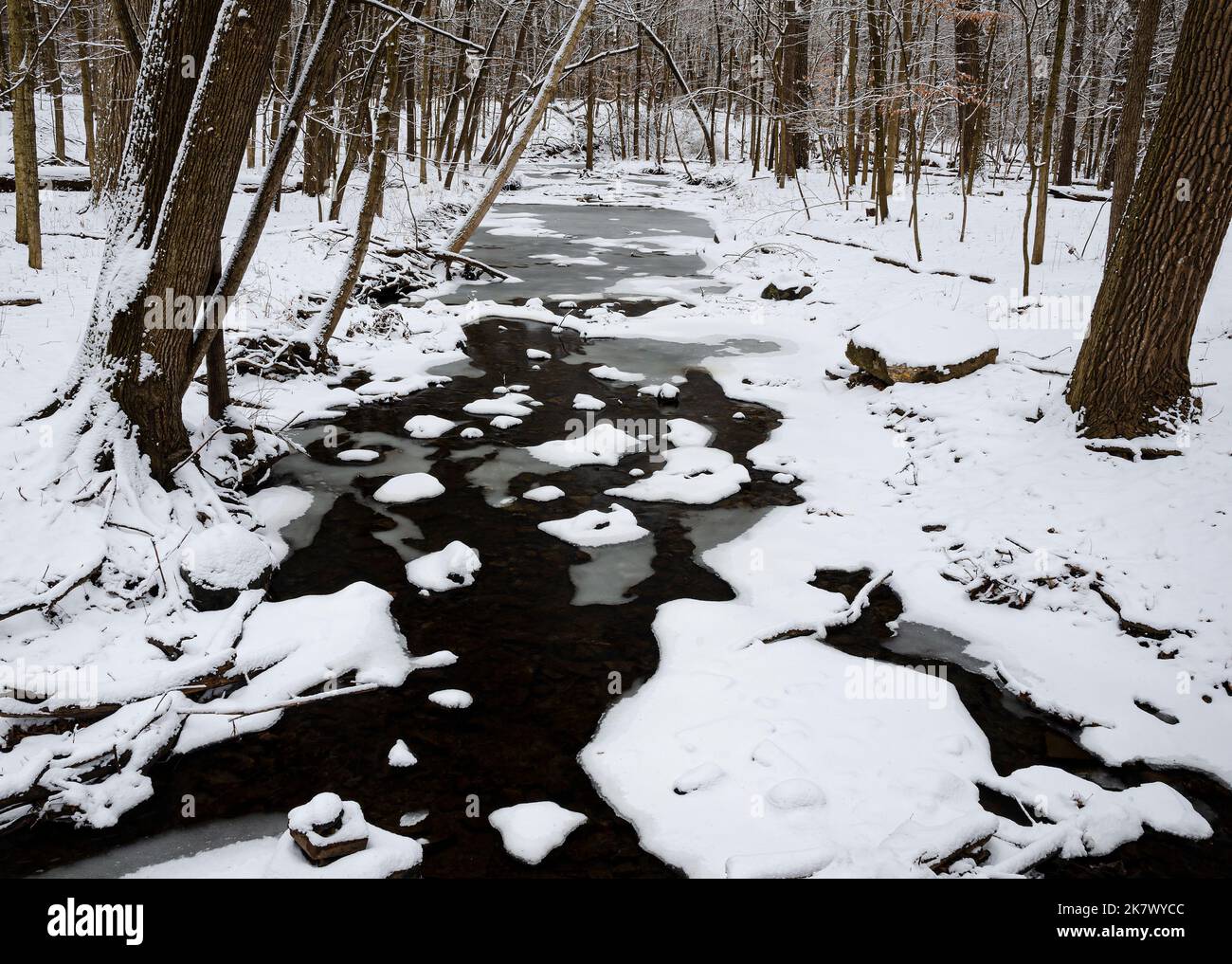 Hammel Creek flows in winter through Hammel Woods until it joins the ...