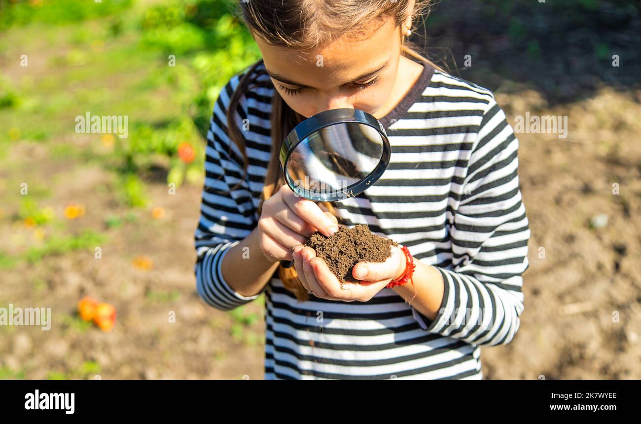 Children examine the soil with a magnifying glass. Selective focus. Kid ...