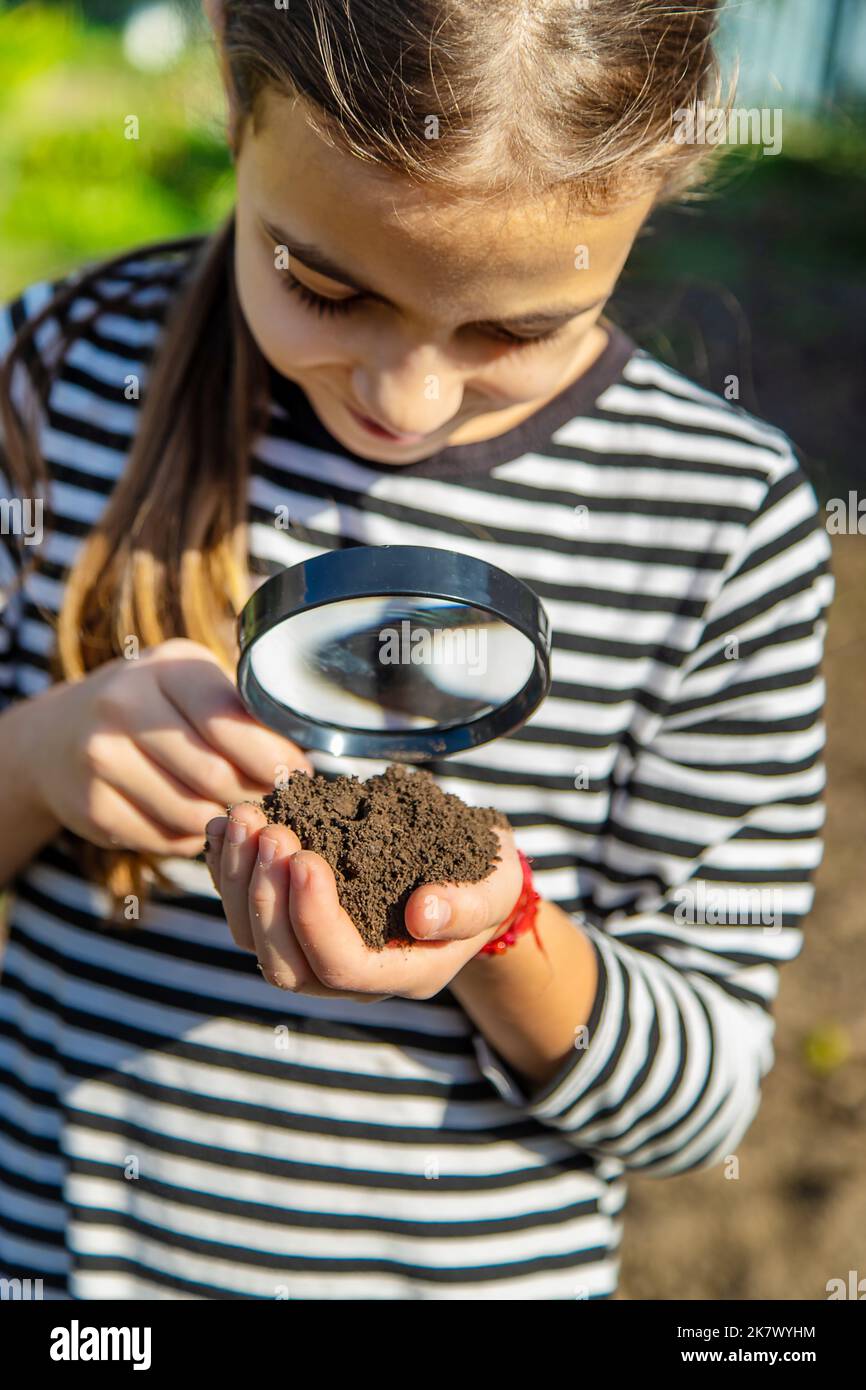 Holding glass tubes of soil hi-res stock photography and images - Alamy