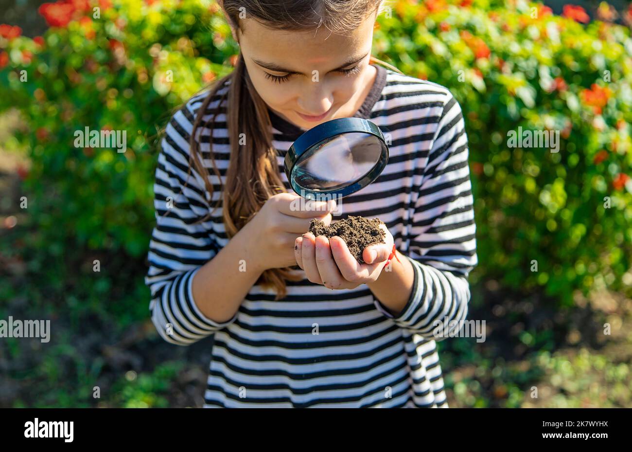 Holding glass tubes of soil hi-res stock photography and images - Alamy