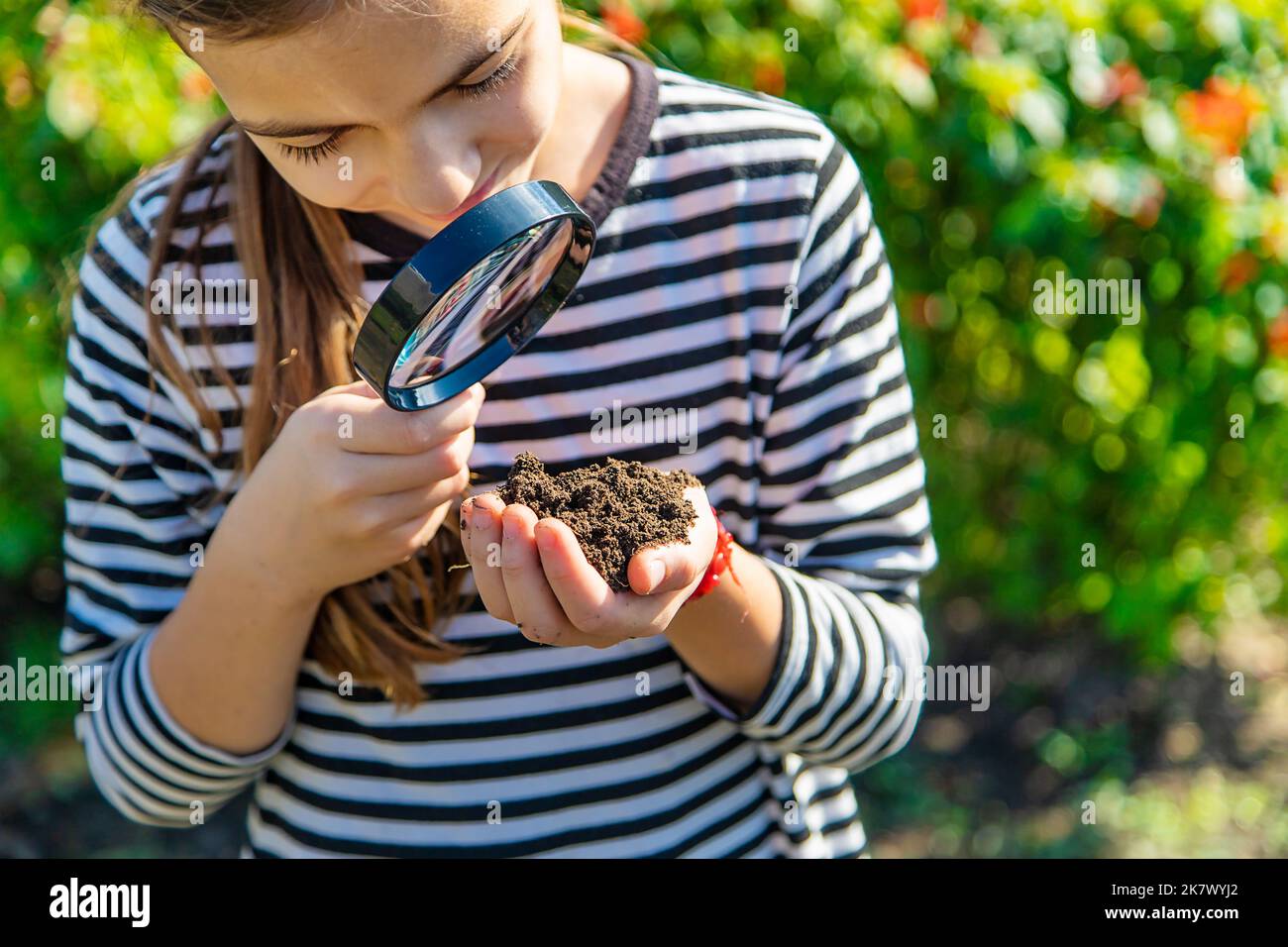 Holding glass tubes of soil hi-res stock photography and images - Alamy