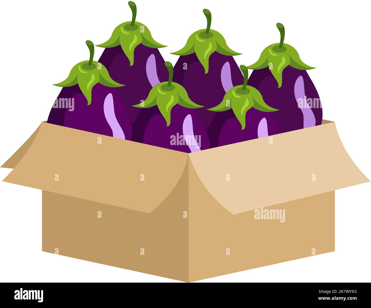 Cardboard box full with purple eggplants Stock Photo - Alamy
