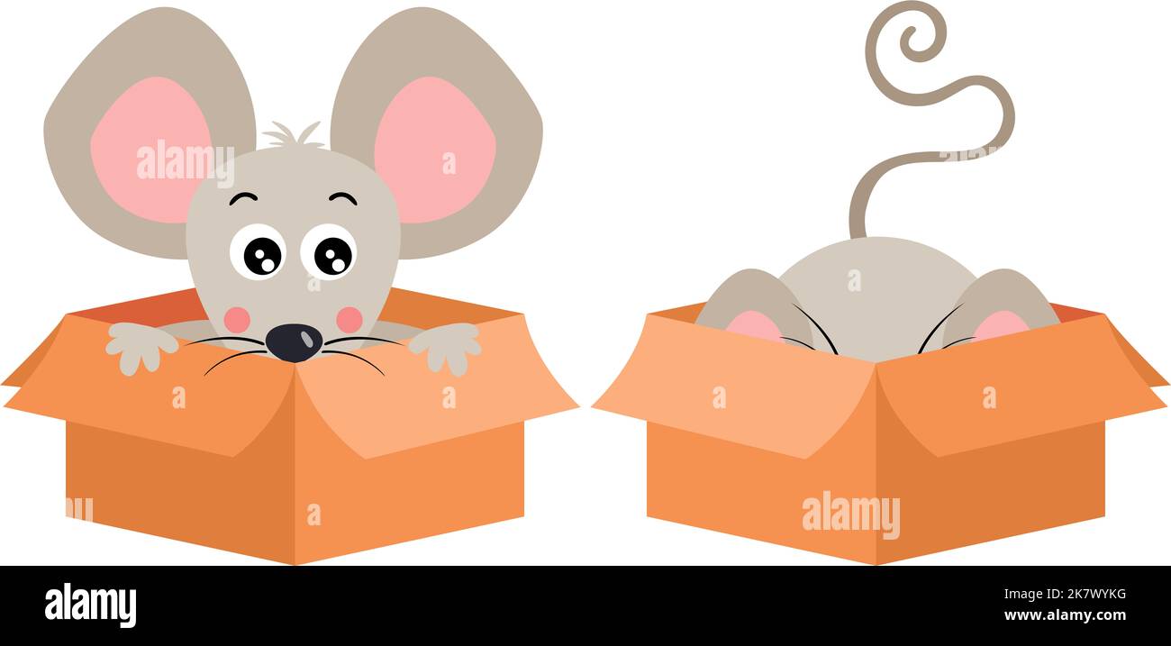 Cute mouse in cardboard box Stock Photo - Alamy