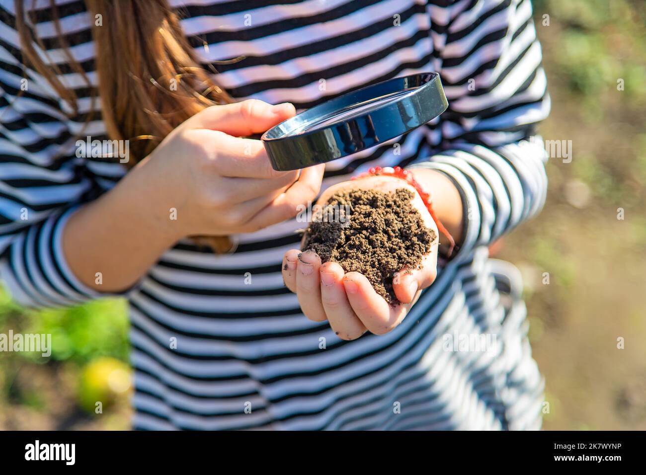 Holding glass tubes of soil hi-res stock photography and images - Alamy