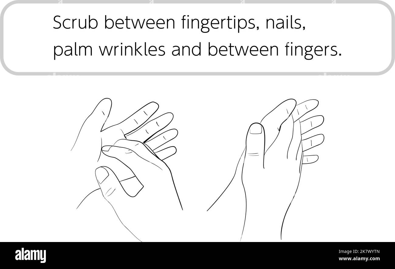 How to wash your hands correctly Stock Vector Image & Art - Alamy