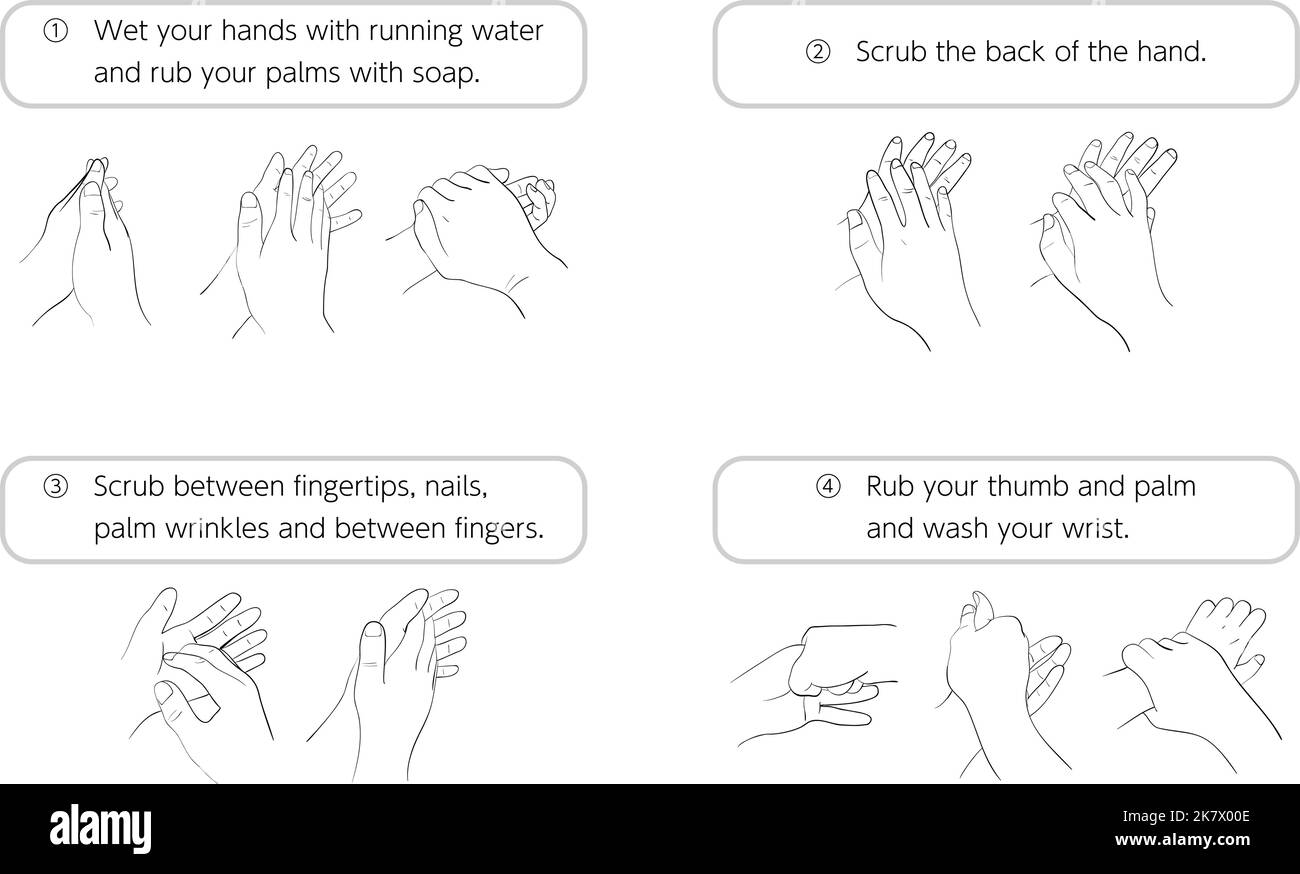 How to wash your hands correctly Stock Vector Image & Art - Alamy